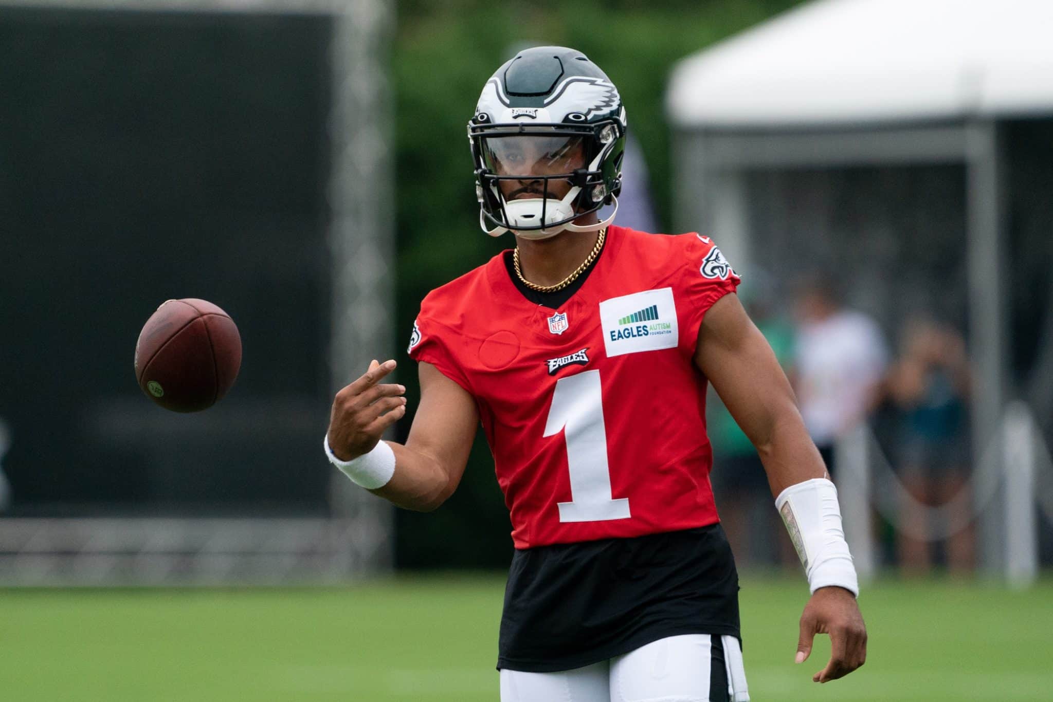 Annual Column: Is there Value in Eagles Training Camp Statistics ...