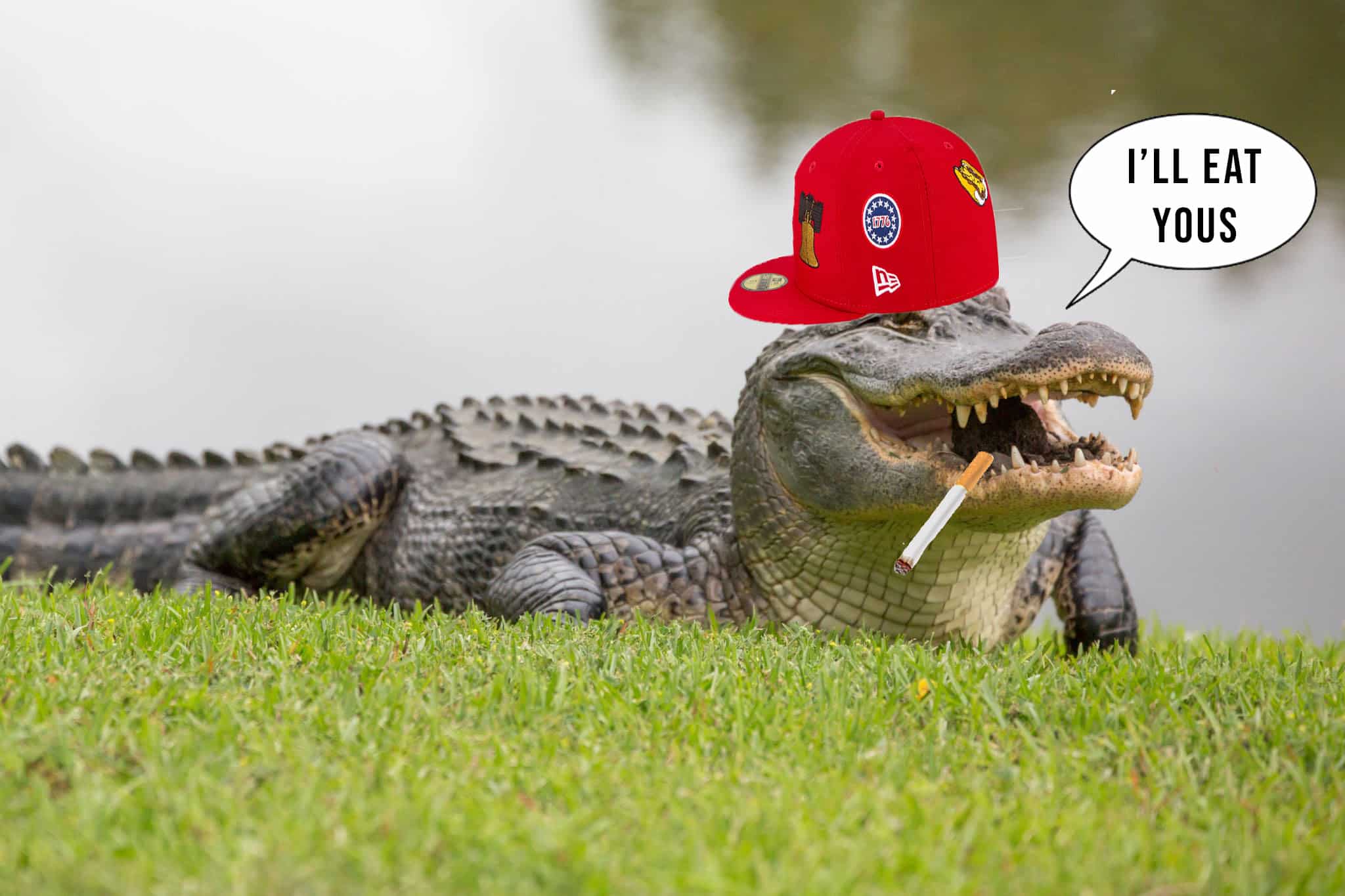 Delco Police: Masked Man Jumps into River and Wrassles Gator - Crossing ...