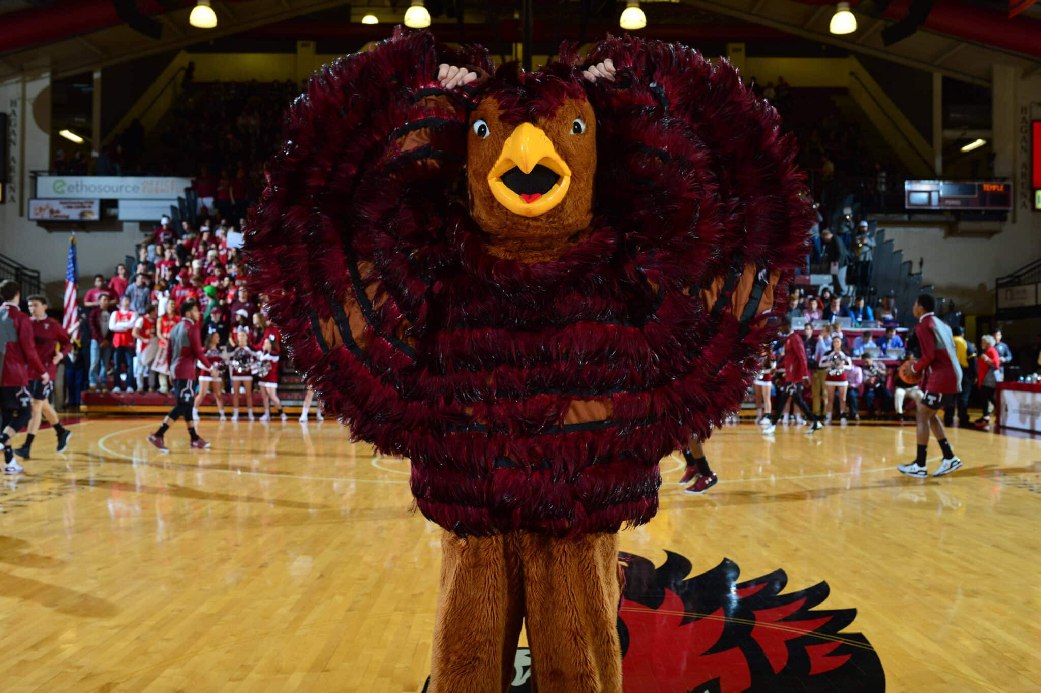 The Hawk Will Never Die, but it will Get a Slight Refresh - Crossing Broad