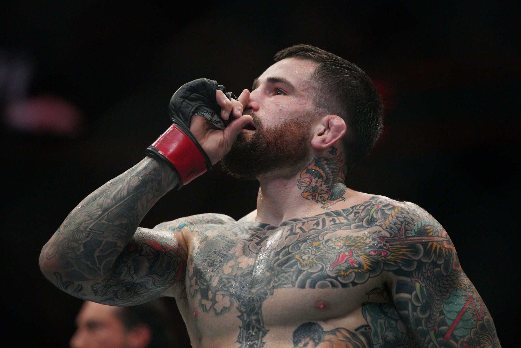 Philly's Sean Brady to Headline UFC Fight Night in Atlantic City ...