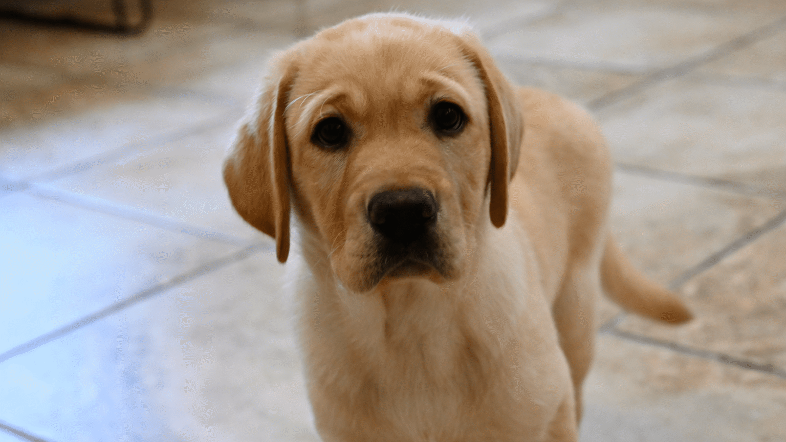 The Wells Fargo Center is Now "Xfinity Mobile Arena" - Crossing Broad