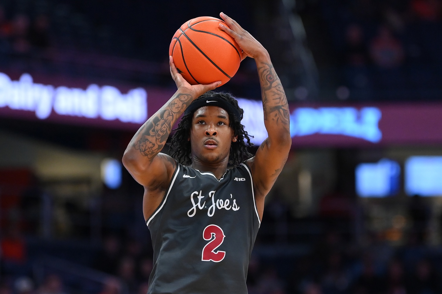 The Hawk Will Never Die, But it Needs Veterinary Attention After Deuce ...